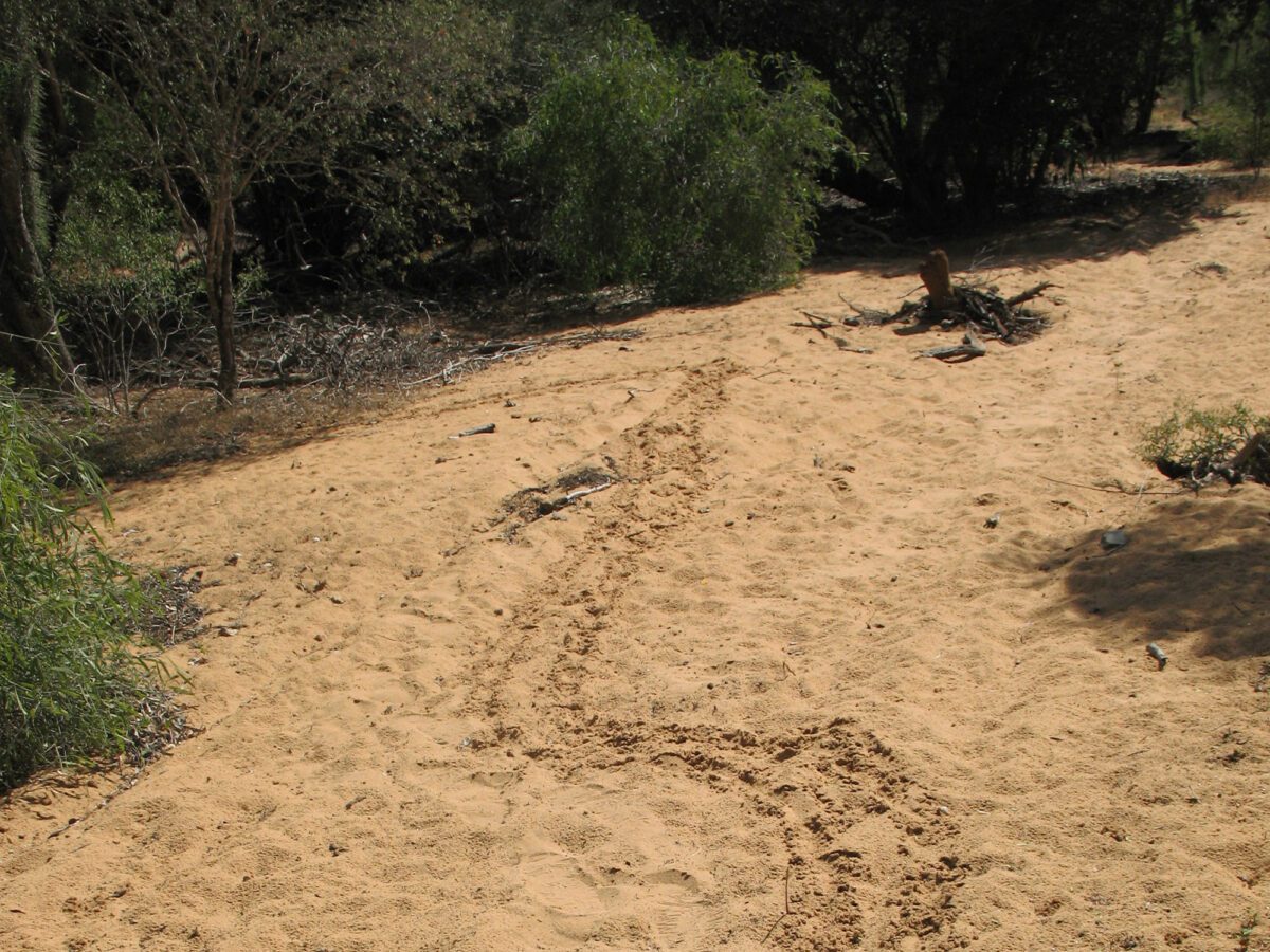 Habitat | RADIATA.CH